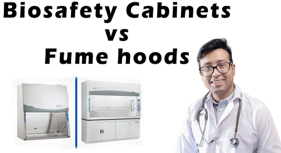 Fume Hood vs Biosafety Cabinet: 5 Key Differences You Must Know